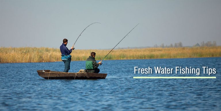 Some Effective Freshwater Fishing Tips and Tricks for Beginners